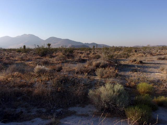 2265 Gibbs Ave, Mojave, CA 93501 | 1 photo - Movoto