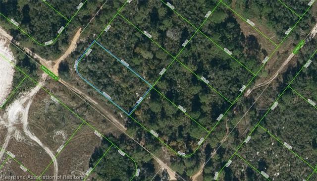 201 Harcourt Ave, Lake Placid, FL 33852 | 1 photo - Movoto