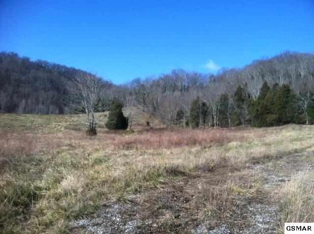 1085 Fodderstack Mountain Loop, Greeneville, TN 37745 - Movoto