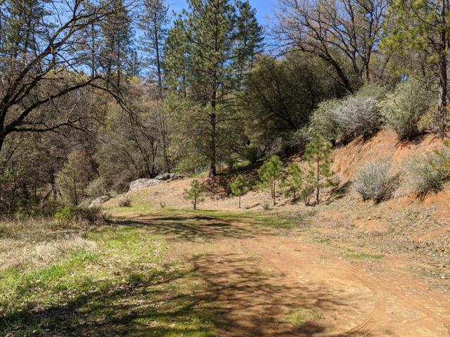 1 Haywire Ranch Rd, Colfax, CA 95713 MLS# 20014282 - Movoto.com