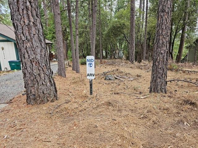 305 Cedar Ridge Luxury Homes for Sale - Cedar Ridge CA Real Estate - Movoto