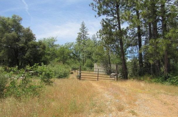 Sheep Ranch, CA Lots & Land For Sale - Movoto