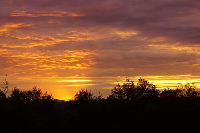 95662 Homes For Sale & 95662, CA Real Estate - Movoto