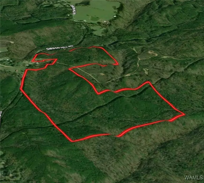 0 County Road 83, Oakman, AL 35579 | 1 photo - Movoto