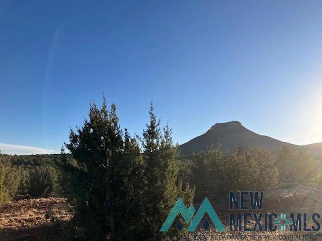 2 24 Acres Camino Al Cielo Rd, Bernal, NM 87569 | MLS #20250630 | 12 ...