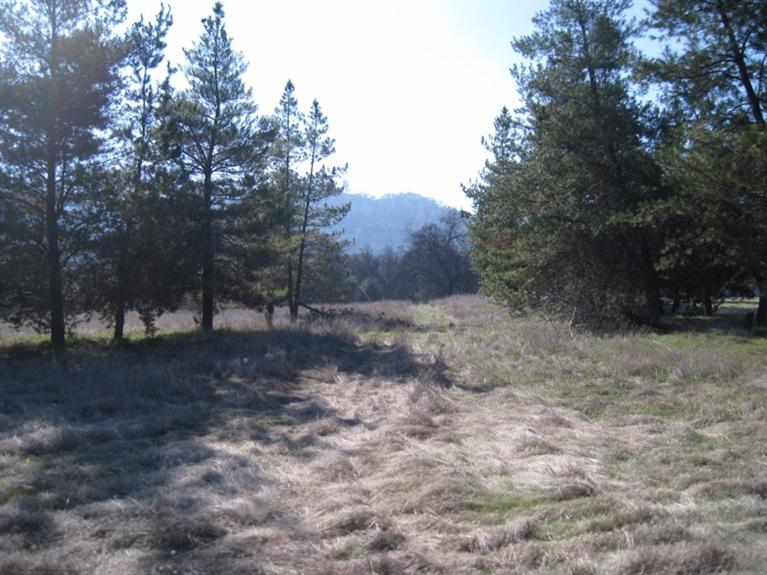 29935 Burrough Valley Rd, Tollhouse, CA 93667 - Movoto