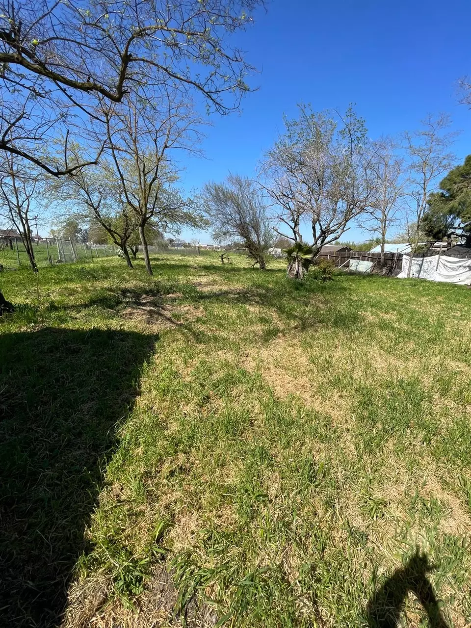 259 S N St, Merced, CA 95341 | 5 Photos - Movoto