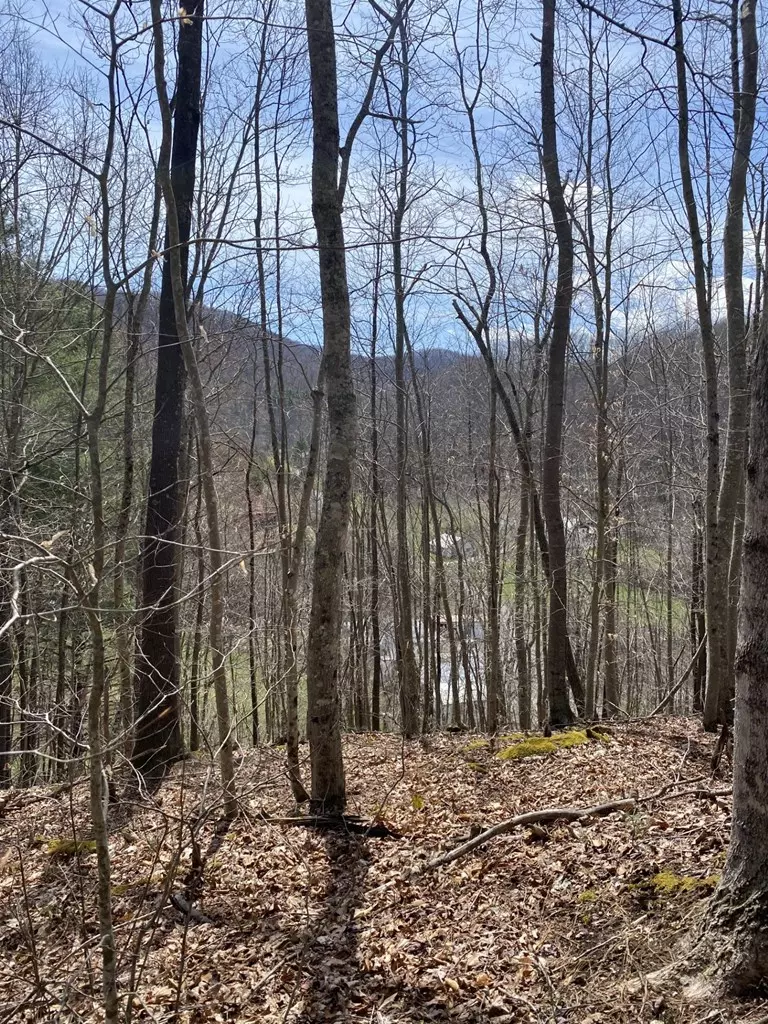 161 Daniels Rd, Bandy, VA 24602 | MLS# 99092 | 7 Photos - Movoto