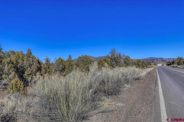 X Pine, Arboles, CO 81121 | 19 Photos - Movoto