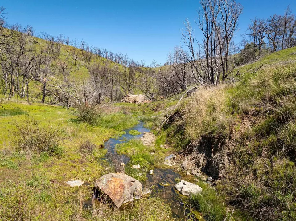 15676 W Corral Hollow Rd, Tracy, CA 95377 | MLS# 41119929 | 26 Photos ...