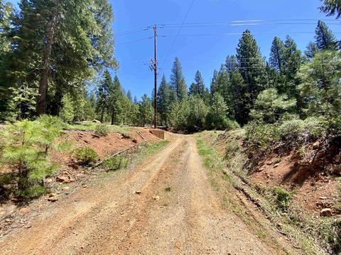 Hamilton Branch, CA Homes with Luxury For Sale - Movoto