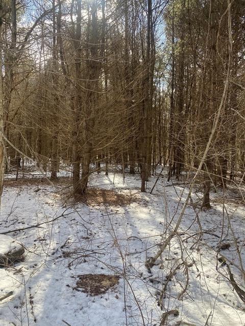 Ware, MA Real Estate & Homes For Sale - Movoto