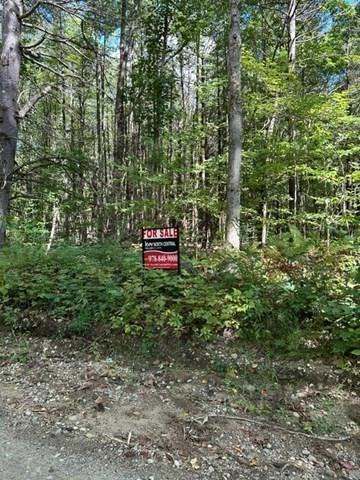 0 Bliss Hill Rd, Royalston, MA 01368 | 9 Photos - Movoto