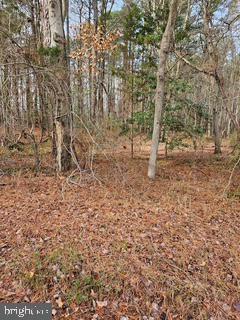 Abell Road, Abell, MD 20606 | MLS# MDSM2022598 | 2 Photos - Movoto