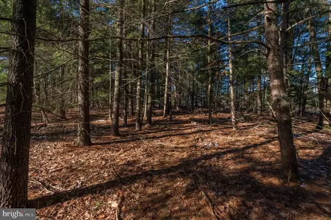 35 Delran Homes For Sale & Delran, NJ Real Estate - Movoto