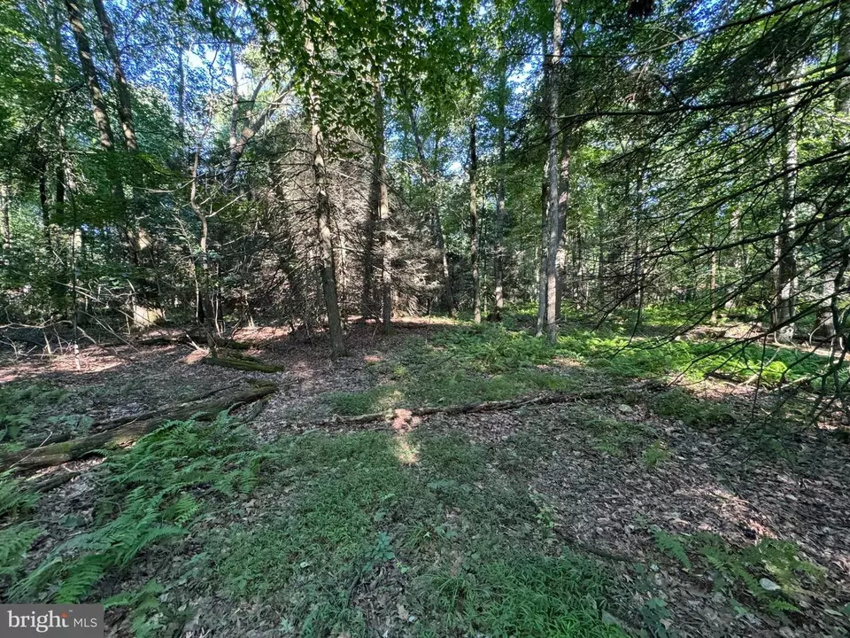 3 Bloody Spring Road, Bernville, PA 19506 | 4 Photos - Movoto