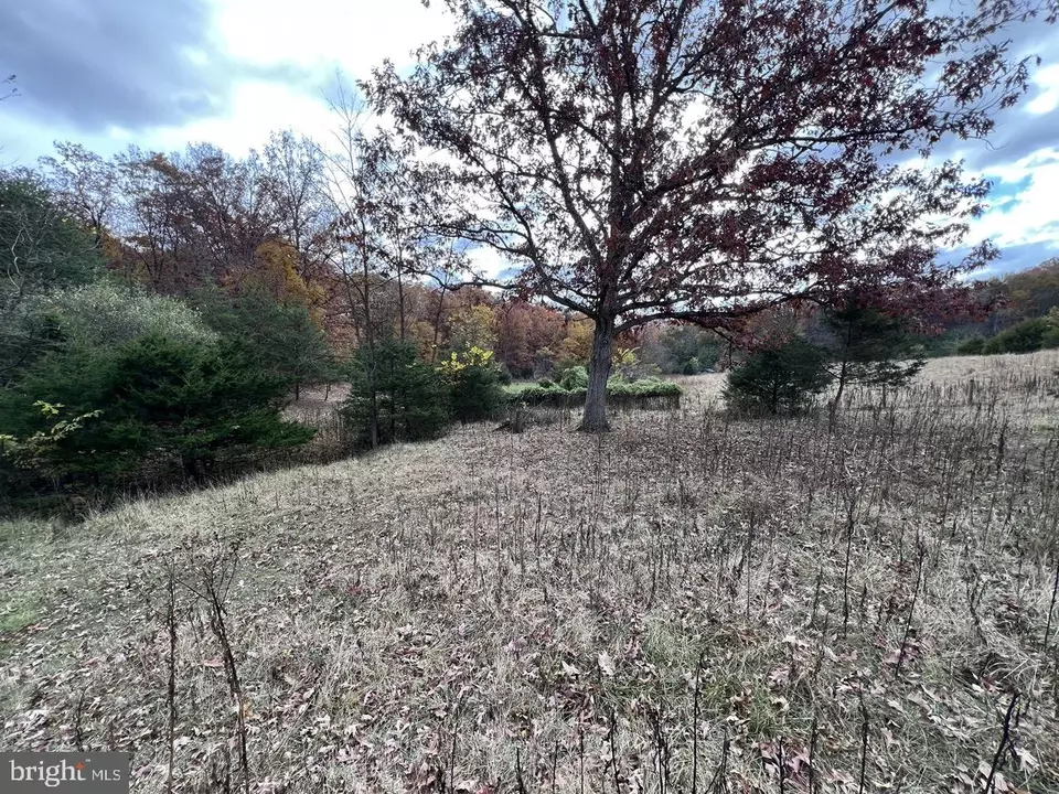 307 Earl Barr Ln, Fisher, WV 26818 | MLS# WVHD2003202 | 77 Photos - Movoto
