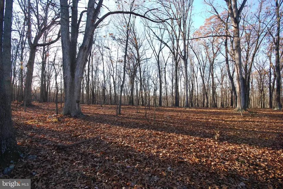 lot67 Mill Mountain Rd, Romney, WV 26757 | MLS# WVHS2007064 | 24 Photos ...