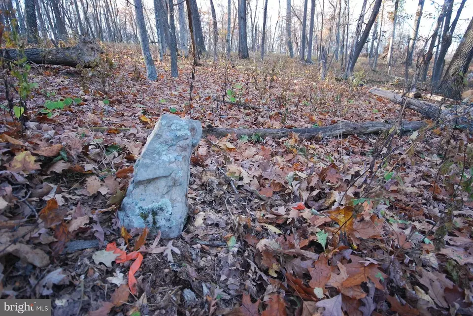 lot67 Mill Mountain Rd, Romney, WV 26757 | MLS# WVHS2007064 | 24 Photos ...