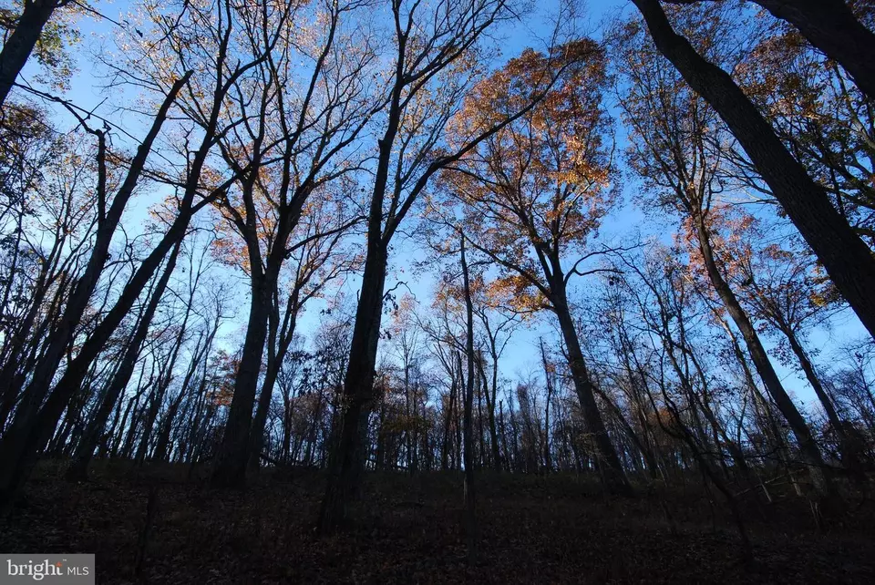 lot67 Mill Mountain Rd, Romney, WV 26757 | MLS# WVHS2007064 | 24 Photos ...