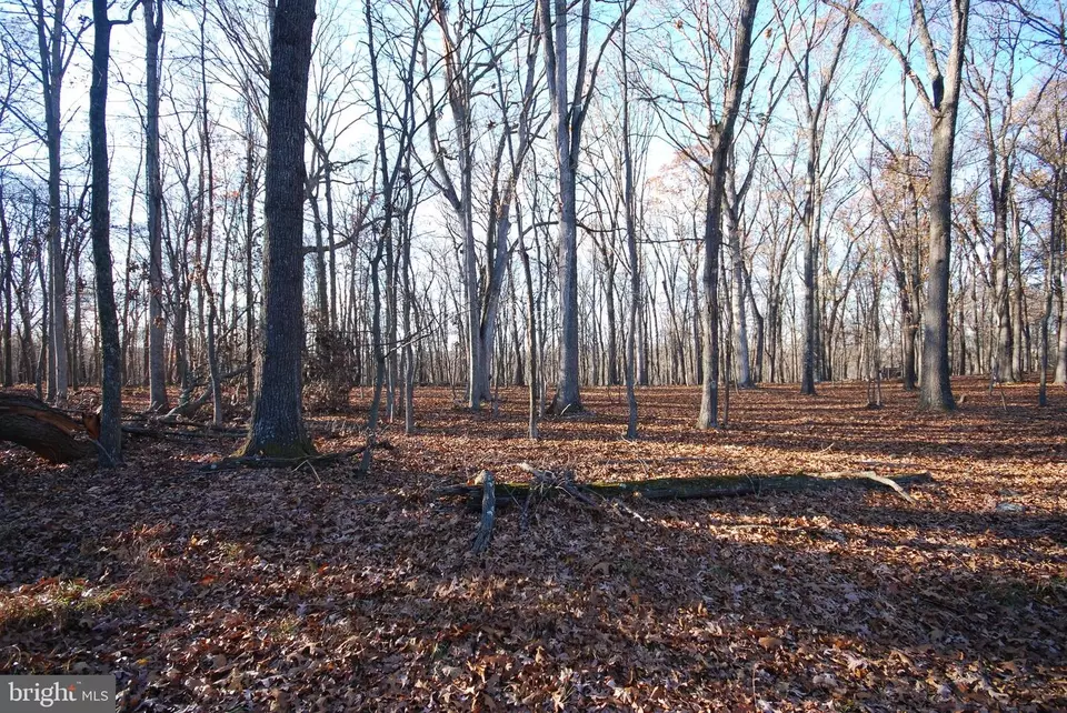 lot67 Mill Mountain Rd, Romney, WV 26757 | MLS# WVHS2007064 | 24 Photos ...