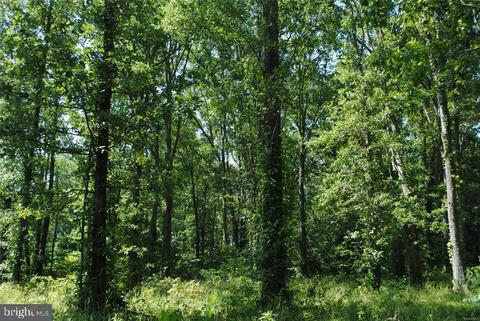 Leavells Rd, Fredericksburg, VA 22407 | 4 Photos | MLS #VASP2012382 ...