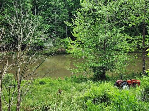 1591 Fishermans Cove Rd, Goodview, VA 24095 | 1 photo - Movoto