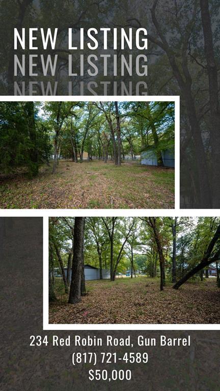 234 Red Robin Rd, Gun Barrel City, TX 75156 | 10 Photos | MLS #20209537 ...