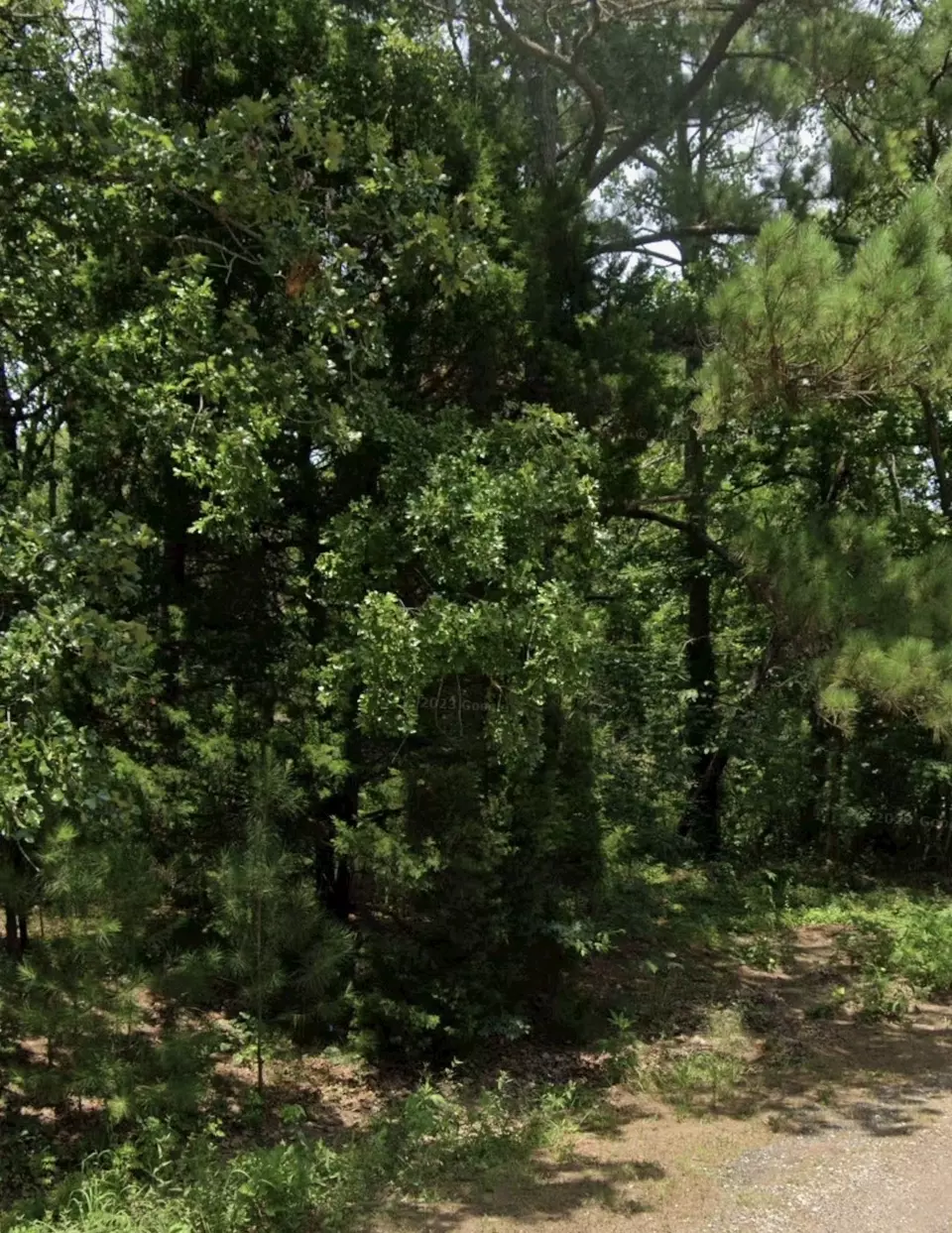 5343 Sam Bass, Log Cabin, TX 75074 | MLS# 21106819 | 3 Photos - Movoto