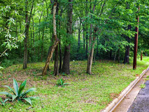 0 Calhoun St, Palestine, TX 75801 | MLS# 21303906 | 17 Photos - Movoto