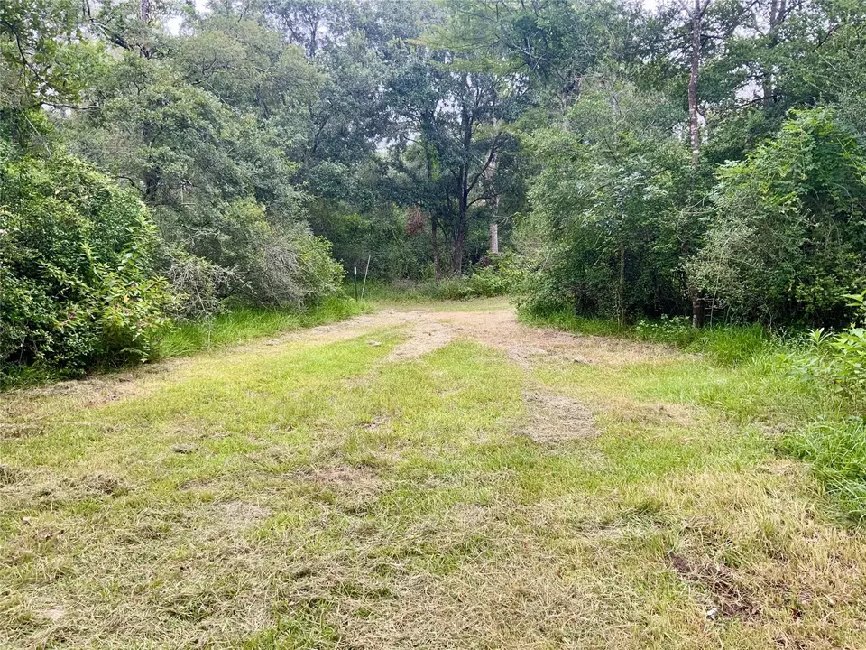 161 County Road 508, Brazoria, TX 77422 | MLS# 20564588 | 21 Photos ...