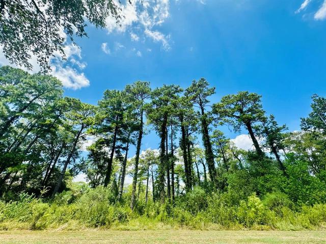 Northgate Forest, Houston, TX Real Estate & Homes For Sale - Movoto