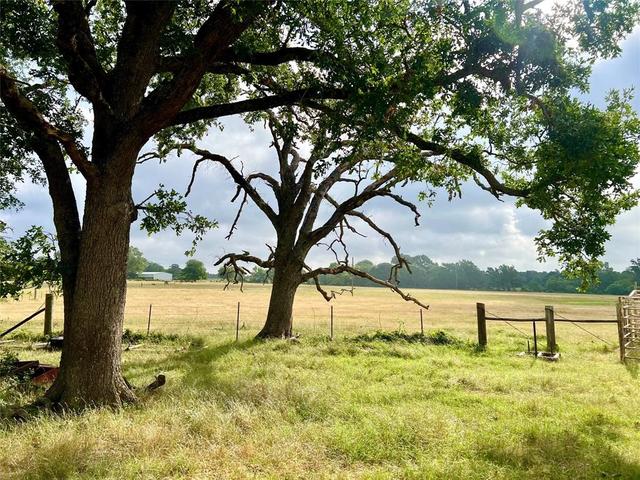 0000 County Road 4550, Pennington, TX 75845 | MLS# 44398016 | 12 Photos ...