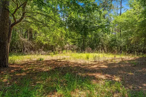 28613 Beth Marie, Magnolia, TX 77355 | MLS# 48339241 | 17 Photos - Movoto