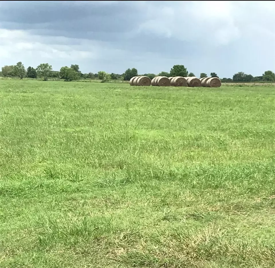 14202 County Road 210, Danbury, TX 77534 | MLS# 68583444 | 9 Photos ...
