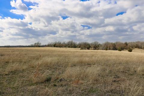 25 Roans Prairie Homes for Sale - Roans Prairie TX Real Estate - Movoto