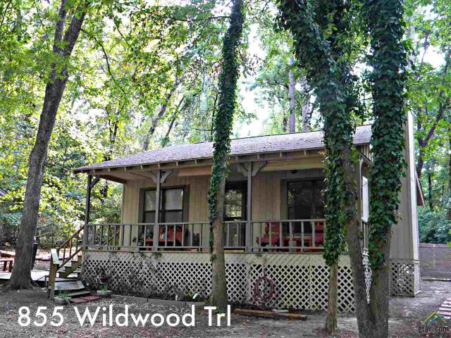 855 Wildwood Trl, Holly Lake Ranch, TX 75765 MLS# 10099449 - Movoto.com