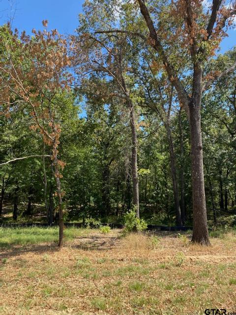 906 Tyler TX Homes for Sale & Real Estate - Movoto