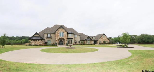 16508 Hailey Ct, Tyler, TX 75703 | MLS# 25009128 | 48 Photos - Movoto