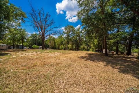 423 N Central, Hallsville, TX 75650 | 8 Photos | MLS #20224314 - Movoto
