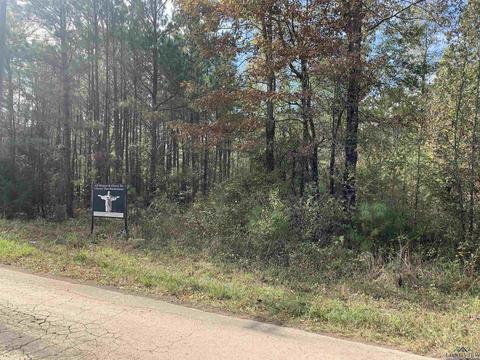 2486 Strickland Spring Rd, Waskom, TX 75692 | 10 Photos | MLS #20227138 ...