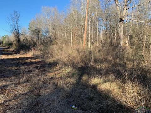 Elysian Fields Homes for Sale - Elysian Fields TX Real Estate - Movoto