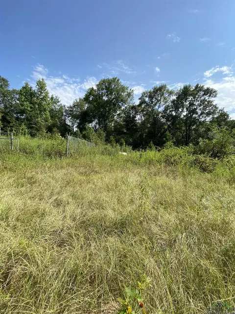 844 Liberty Church Rd, Harleton, TX 75651 - Movoto