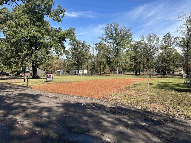 1075 First Rd, New Diana, TX 75640 - Movoto