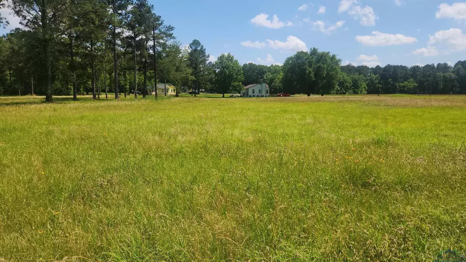 17559 Fm 31, Elysian Fields, TX 75642 | MLS# 20253596 | 7 Photos - Movoto