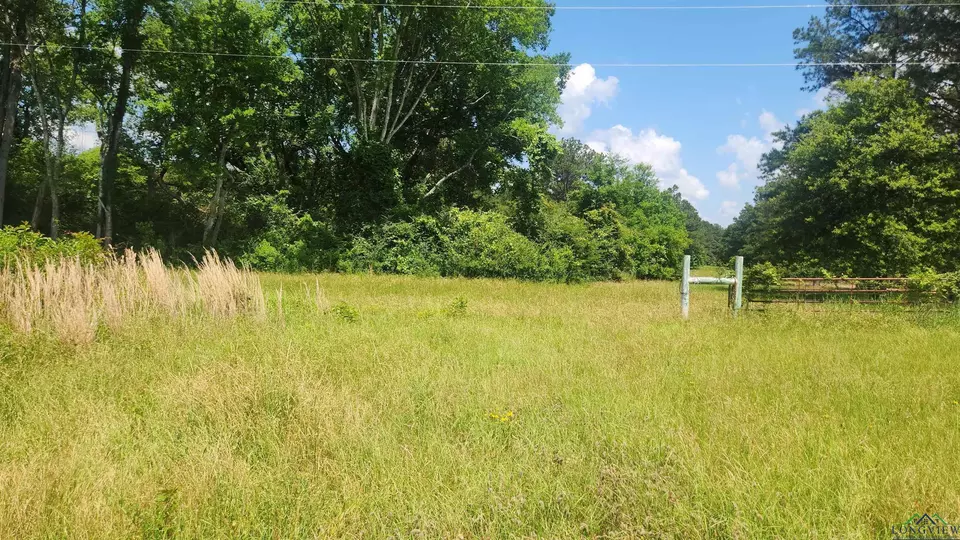 17559 Fm 31, Elysian Fields, TX 75642 | MLS# 20253596 | 7 Photos - Movoto