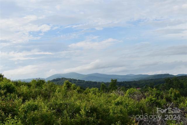 168 Blue Ridge Homes For Sale & Blue Ridge, NC Real Estate - Movoto