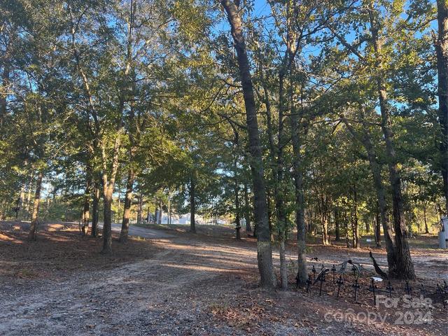 1814 Landfill Rd, Mount Croghan, SC 29727 | 15 Photos - Movoto