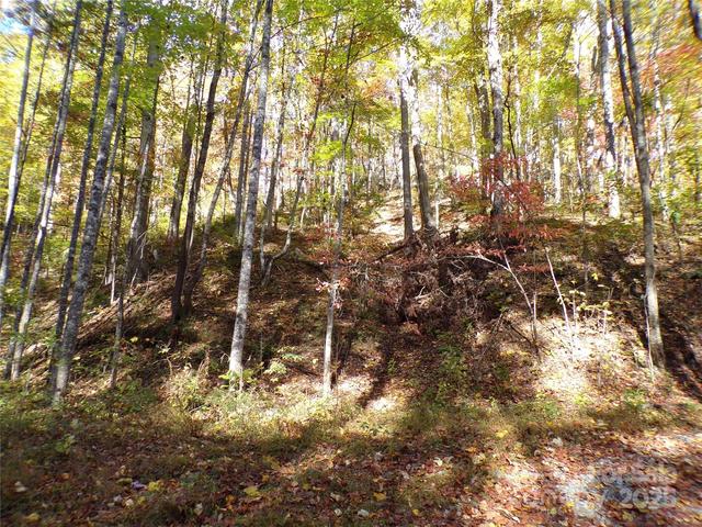0 High Windy Lot 388 Dr #LOT 388, Lake Lure, NC 28746 | MLS# 4318232 ...