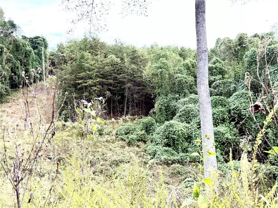 0 Friendship Rd, Germanton, NC 27019 | MLS# 1198856 | 9 Photos - Movoto